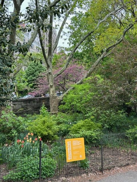 Crabapple Grove - Exploring The Upper West Side