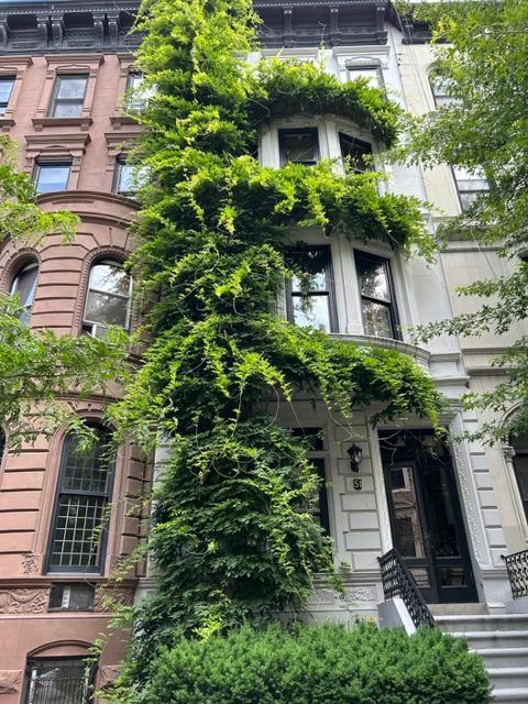 Excellent Examples of Ivy-Covered Buildings - Exploring The Upper West Side